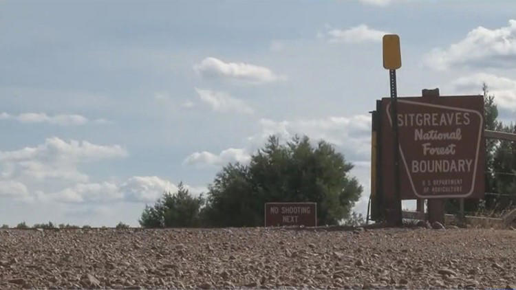 Several horses shot to death in northern Arizona