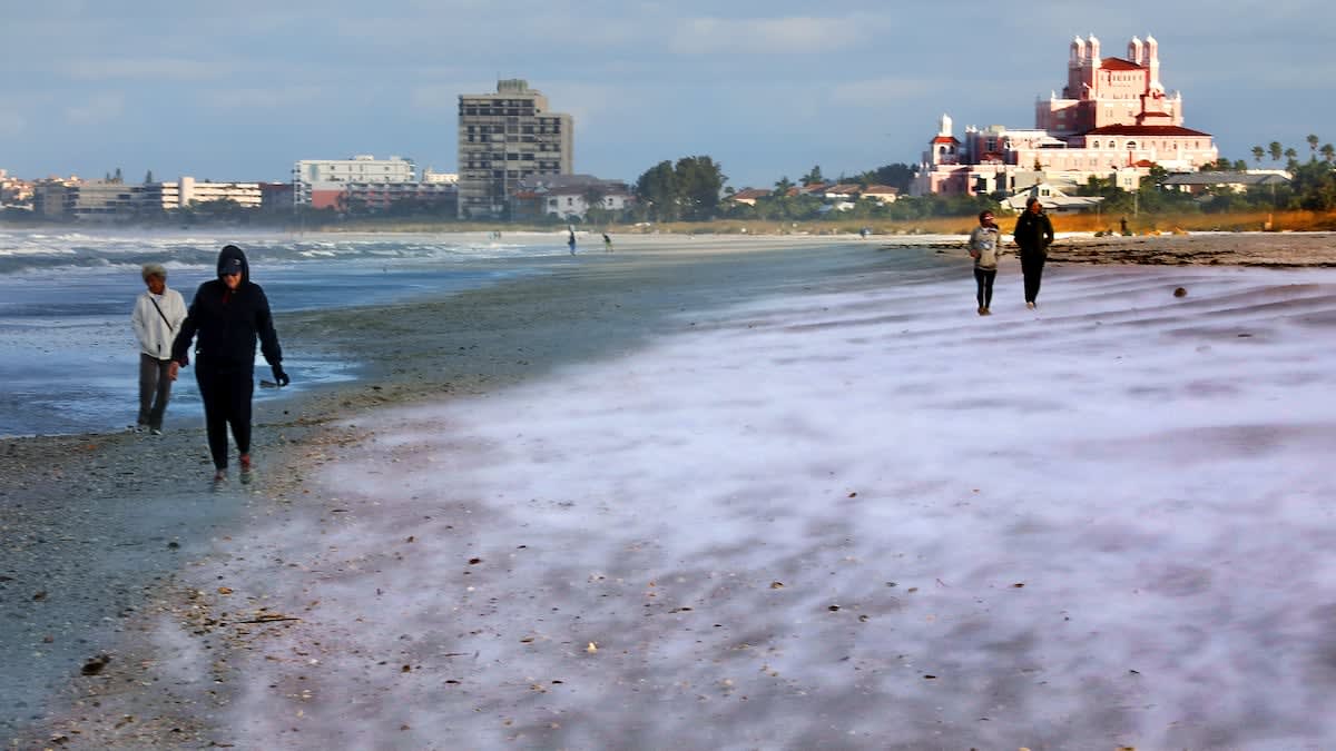 What is Gulf effect snow? And will it really happen in Tampa Bay?