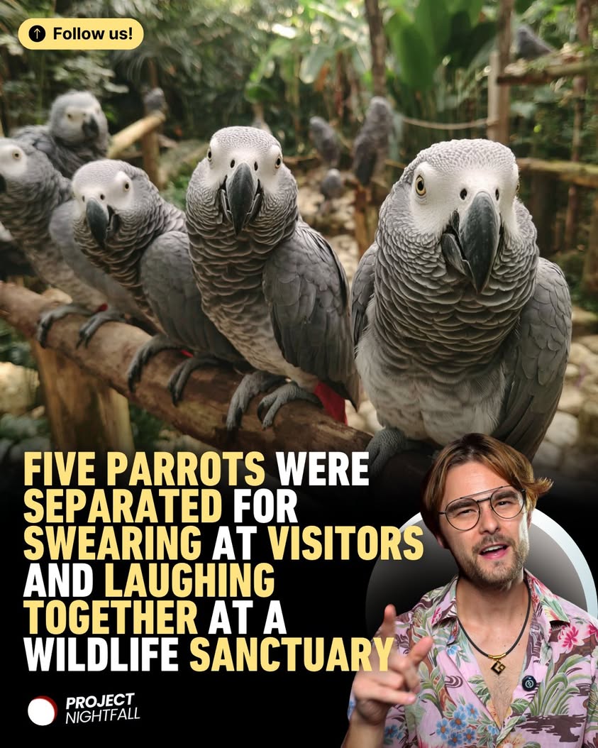 When you and your friends get together and suddenly everyone becomes a ...