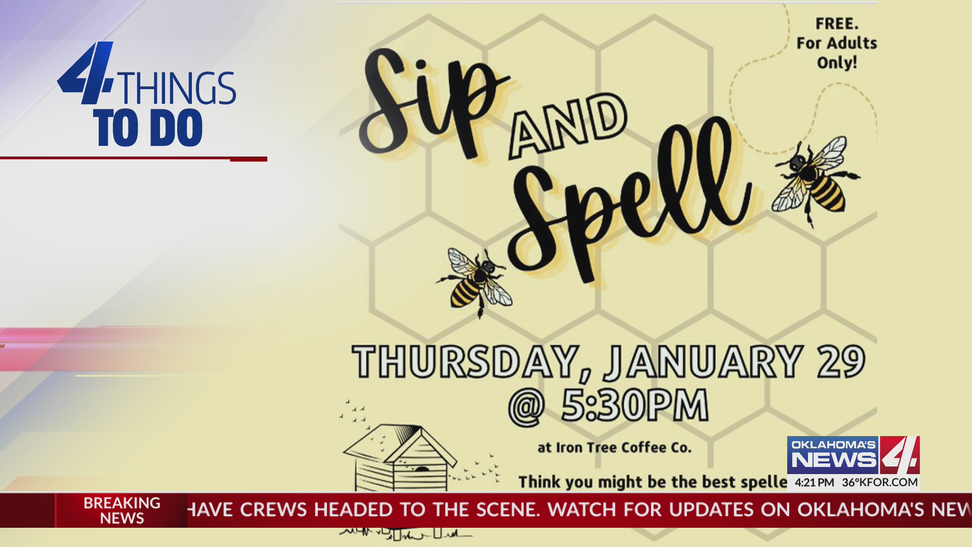 4 things to do: From adult spelling bees to birdie basics!