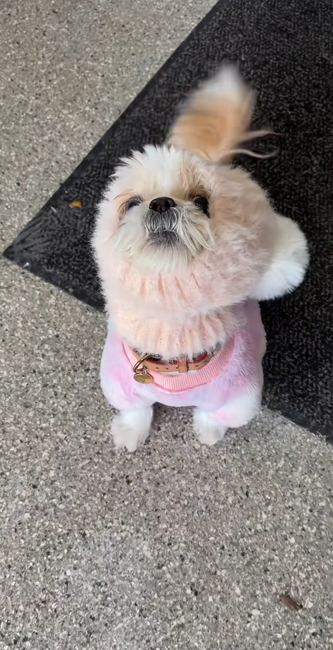 How much side eye did you see?