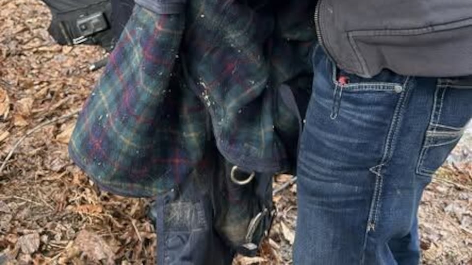 Dog stranded 25 feet from shore rescued from frozen Cherokee County pond