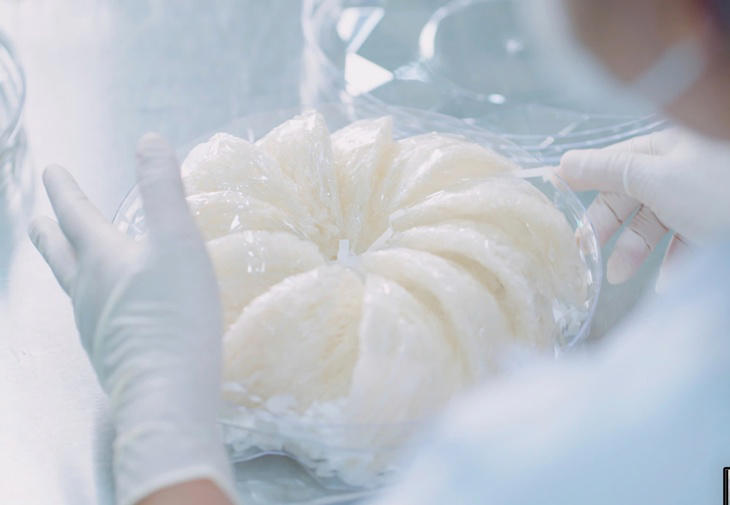 'Vàng trắng' sinh thái: Lợi thế cạnh tranh mới của Cần Giờ