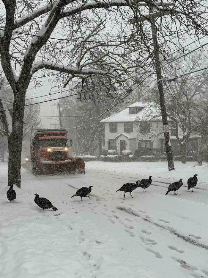 “You’re still coming to work, right?” 92 photos showing the aftermath ...