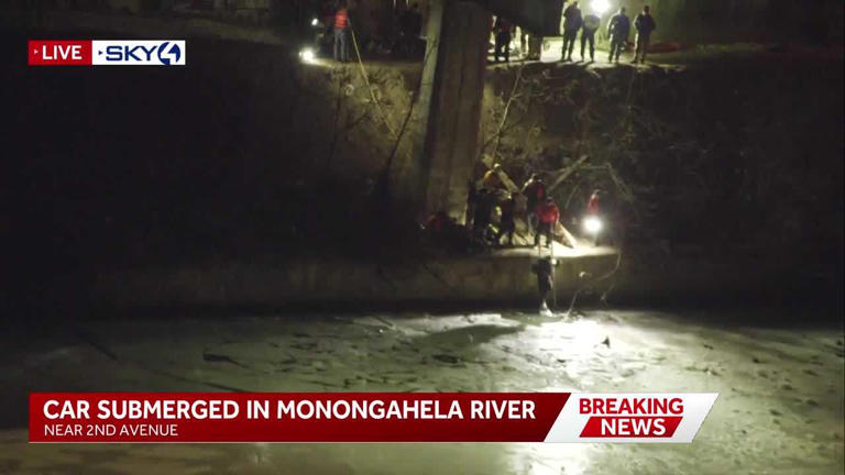 Update: Woman pulled from river dies after vehicle went overboard in ...
