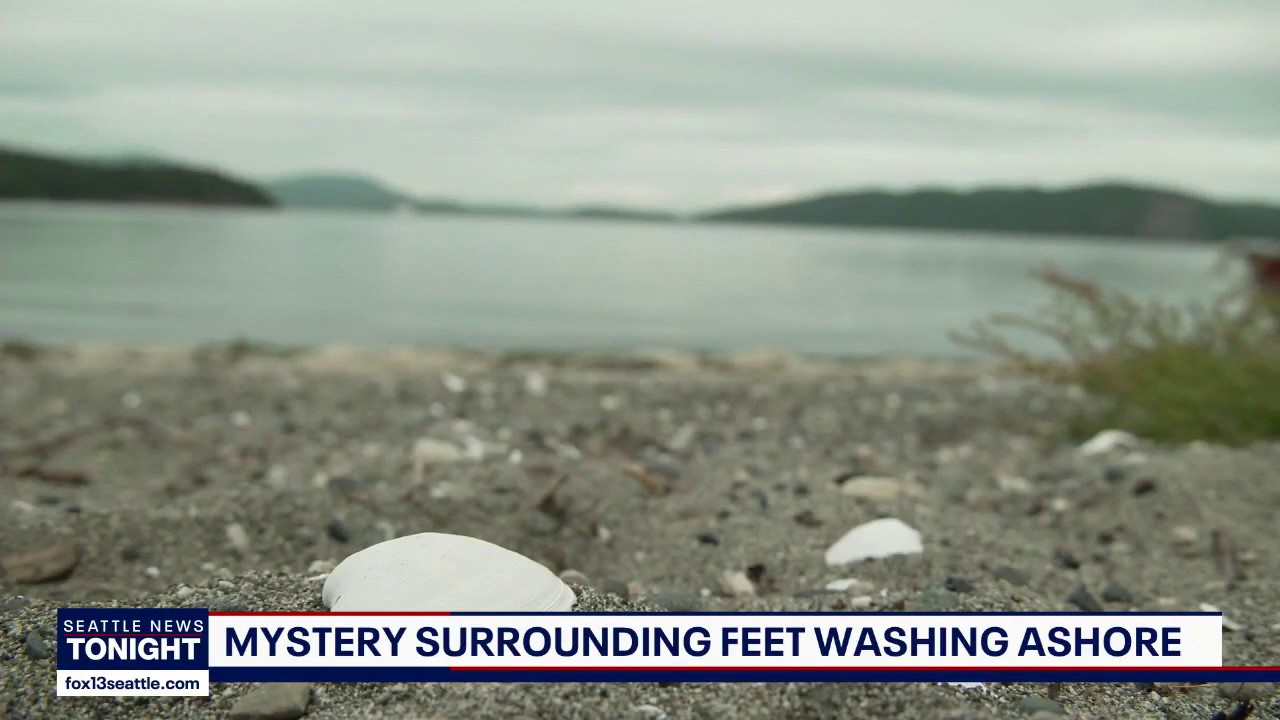Why severed feet keep washing ashore in the Salish Sea, experts say