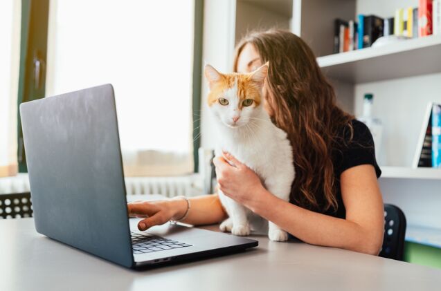 Minnesota gets its first pet-friendly college campus