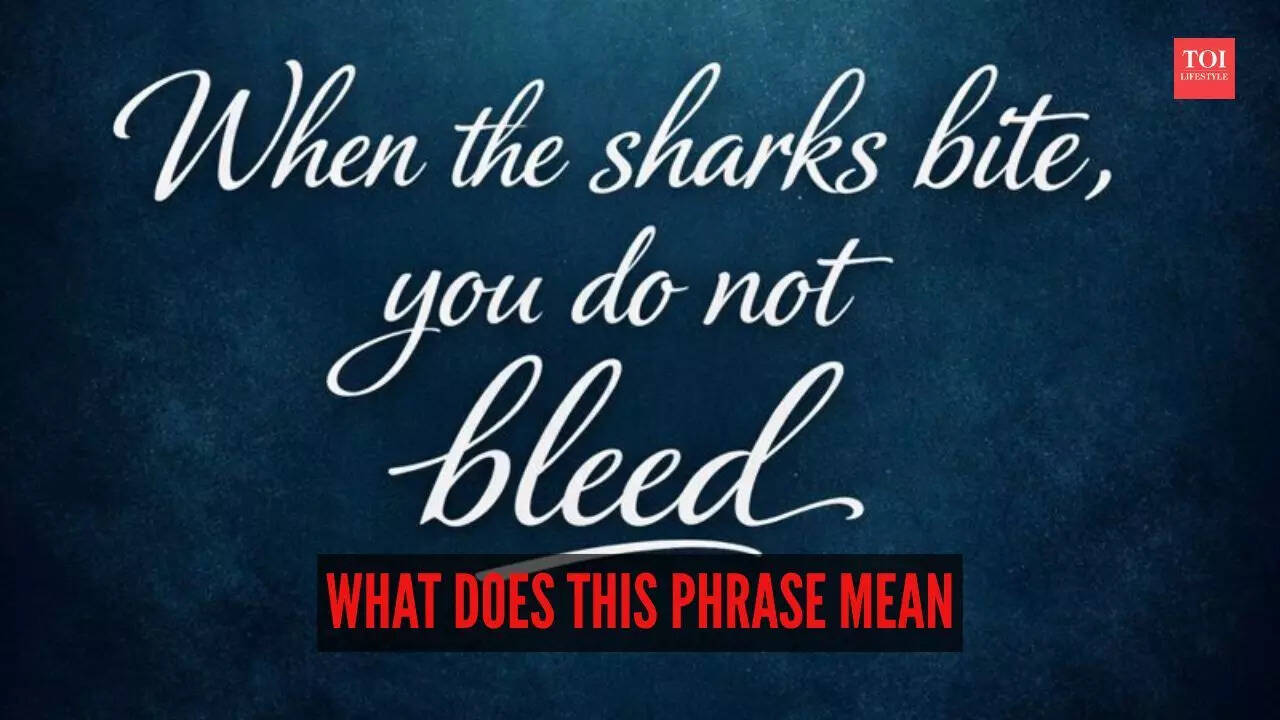 What does the phrase “When the sharks bite, you do not bleed” mean?