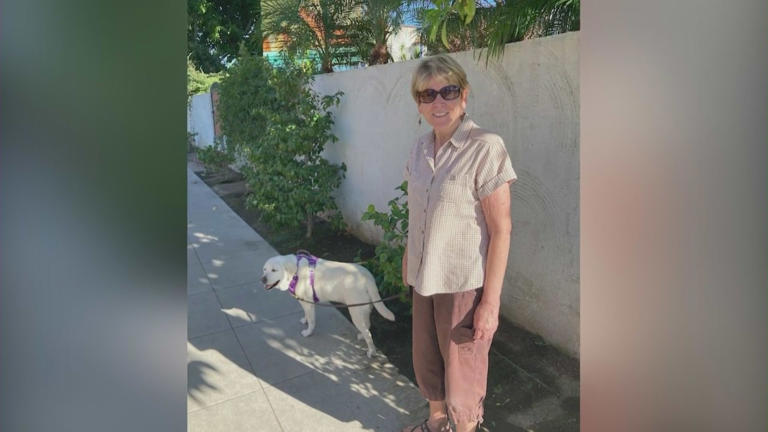 Hit-and-run driver arrested for crash that killed 78-year-old woman in ...