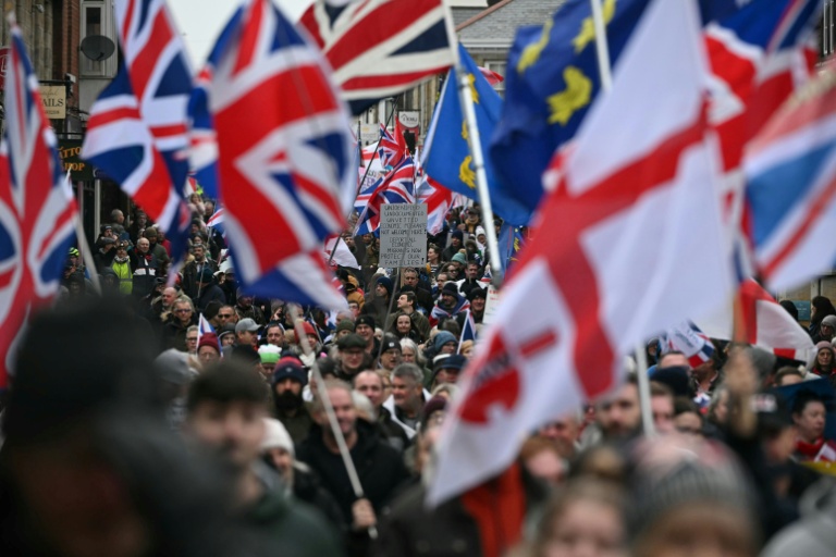 UK schoolgirl game character Amelia co-opted by far-right