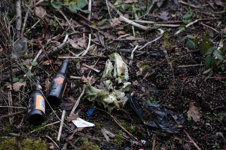 ‘It’s embarrassing... it’s an appalling mess’