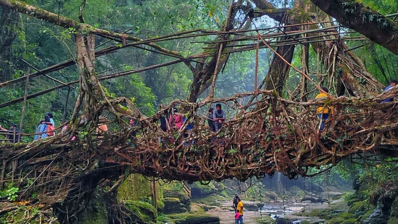 Meghalaya’s living root bridges: India’s nomination for UNESCO’s ...