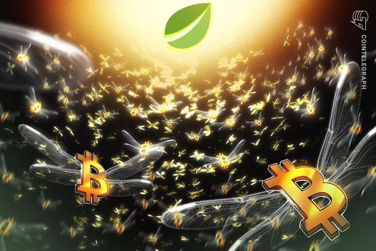 Bitfinex Bitcoin longs hit highest level since late 2023: Is a rally to ...