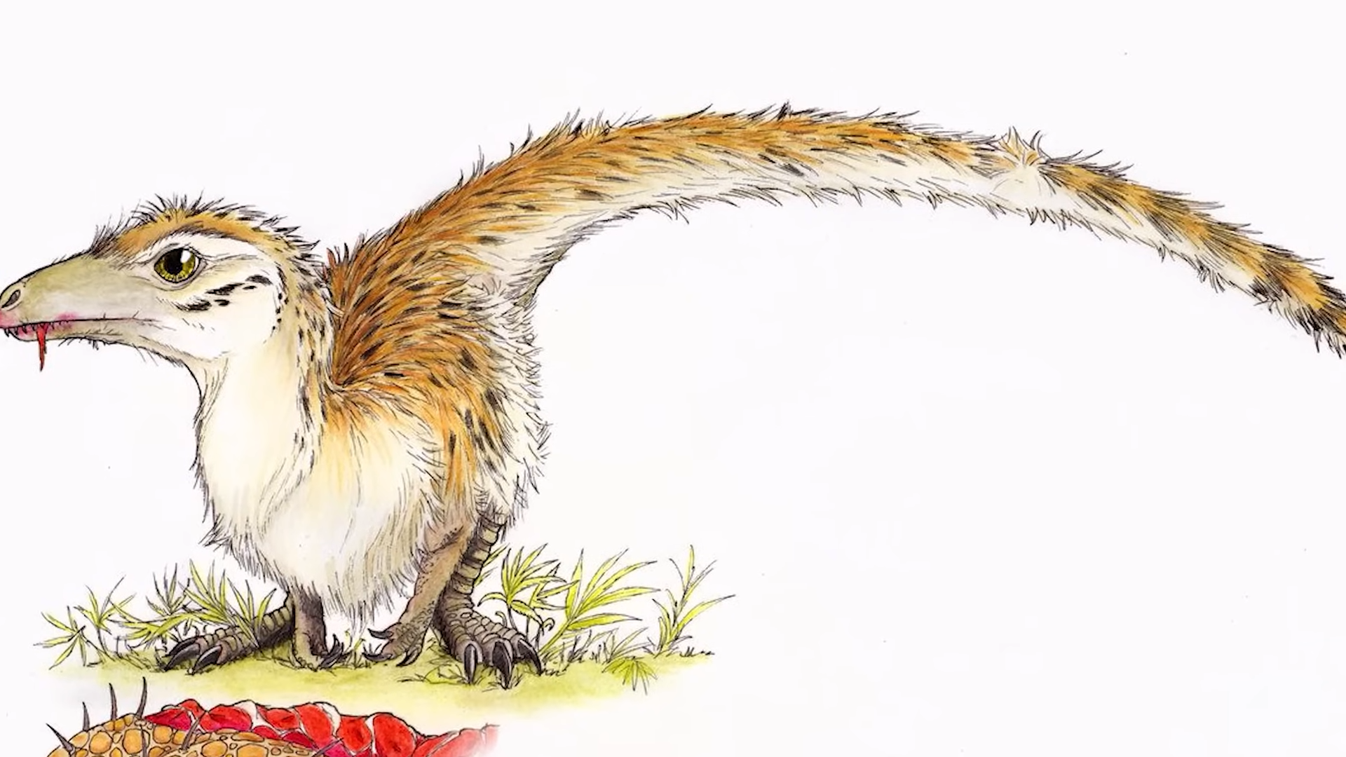 The Cretaceous “golden age” - and the dinosaurs that still don’t make sense