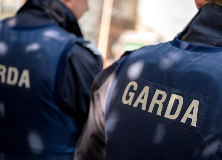 Gardaí in white-collar crime agency want out over 'toxic work culture'