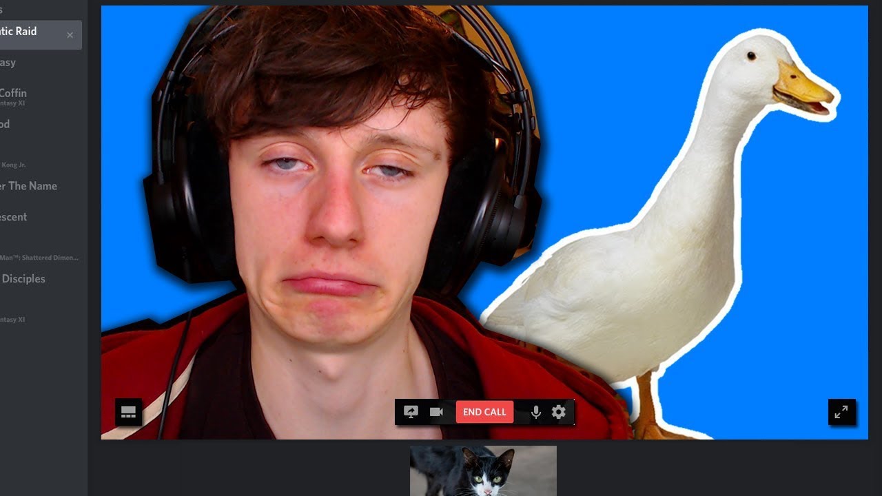 I asked 100 people on Discord to do their best animal impression