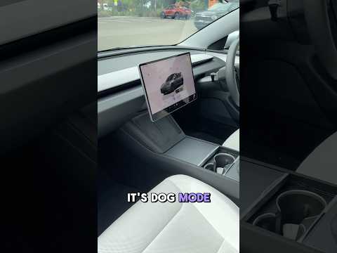 ‘Dog mode’ in the Tesla Model 3 is a life-saver for four-legged friends ...
