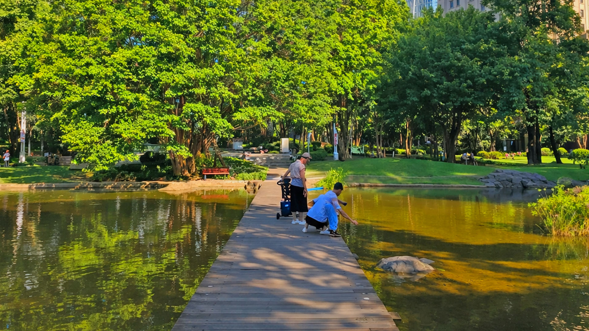 Bridge walkway over pond in China park