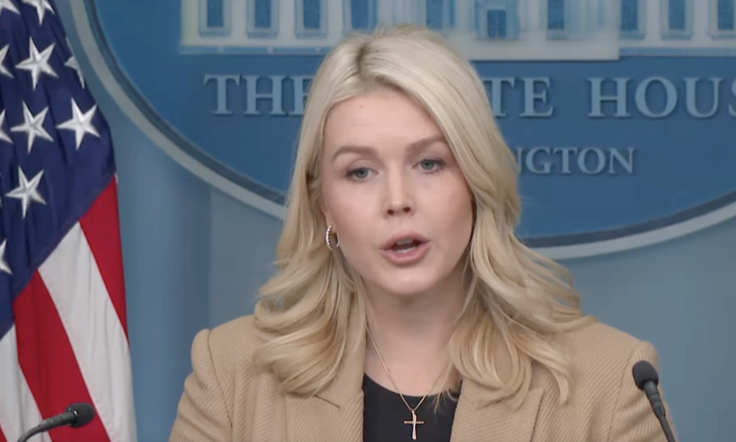 'Shame on people like you!': Karoline Leavitt erupts into petty rampage ...