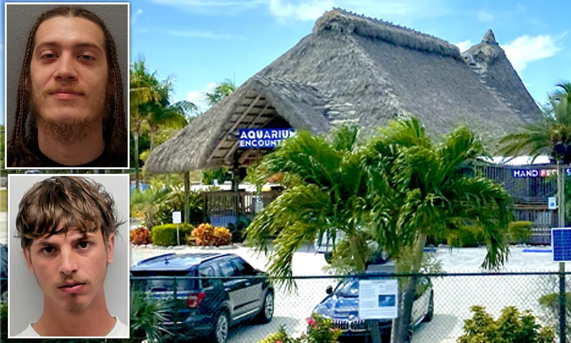 Two men arrested for killing a tarpon fish after breaking into Florida ...