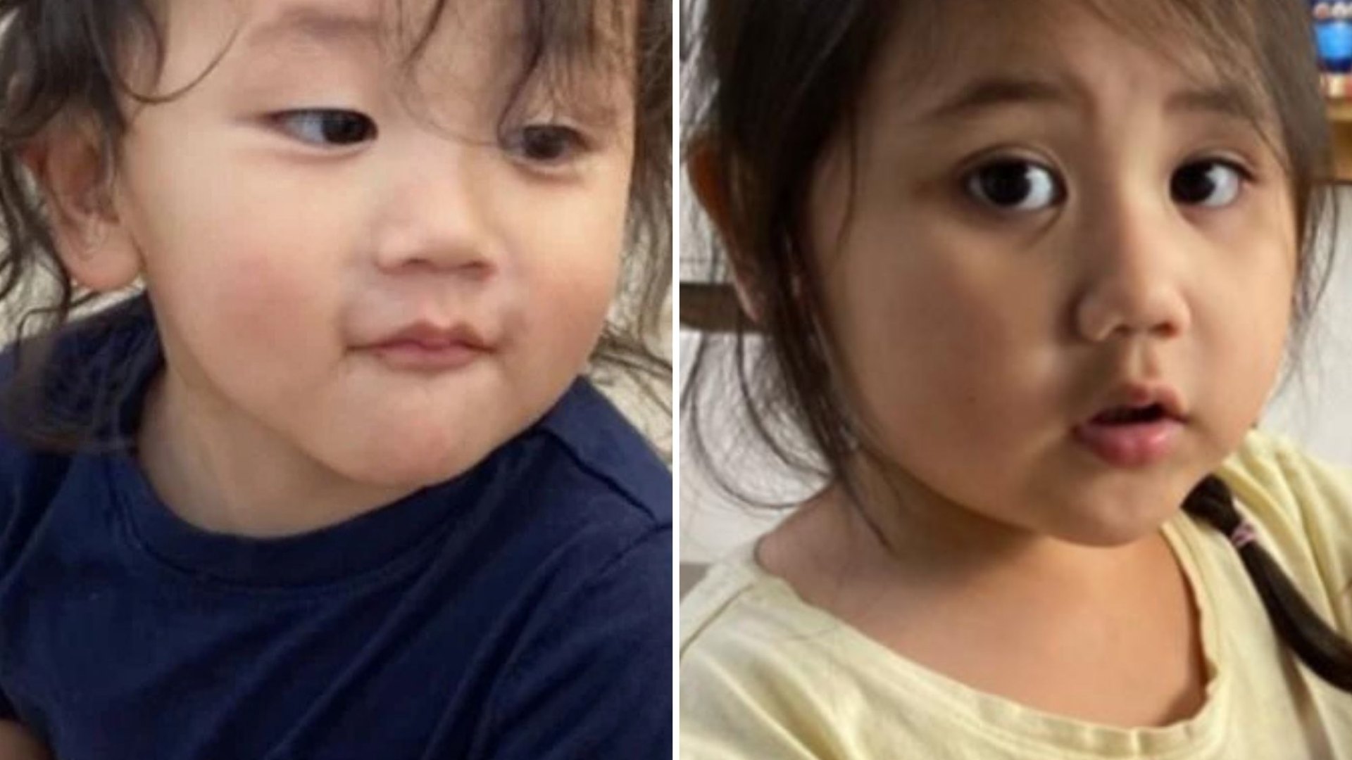 Search continues in Calif. for missing children after father murdered ...