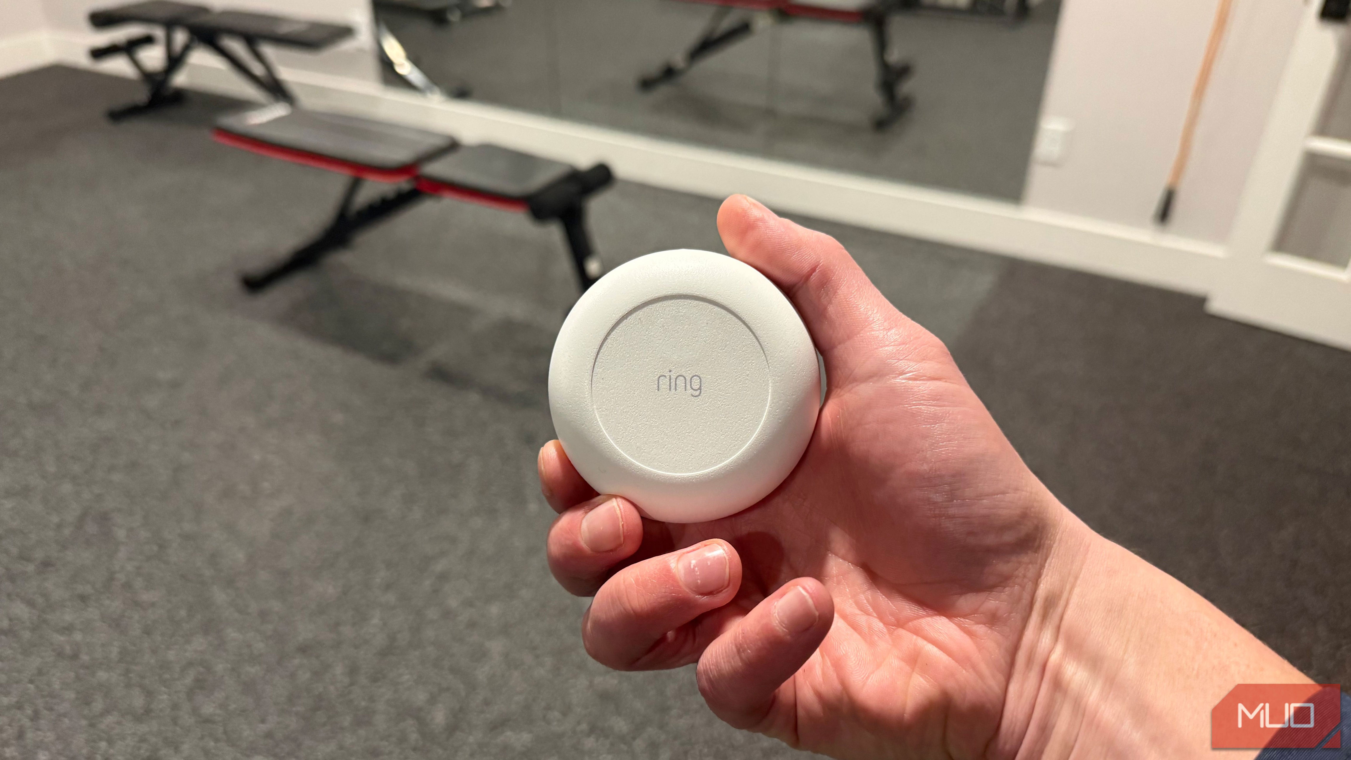 A $30 gadget woke me at 2am and saved my basement