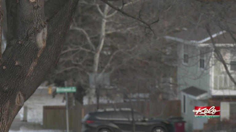 Property taxes and those who pay them