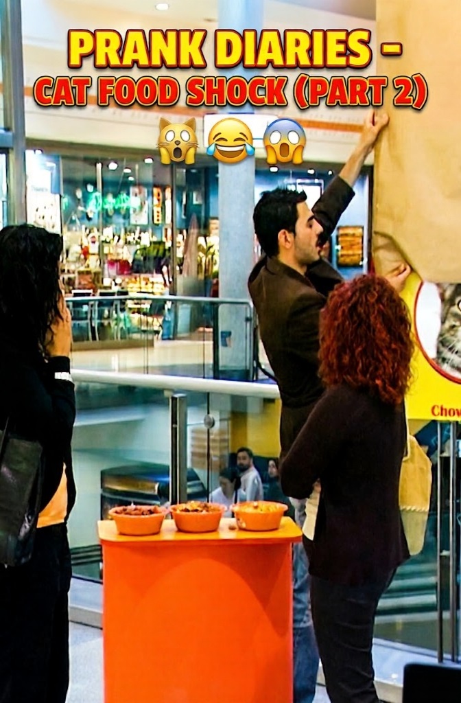 Prank diaries - cat food shock (part 2)