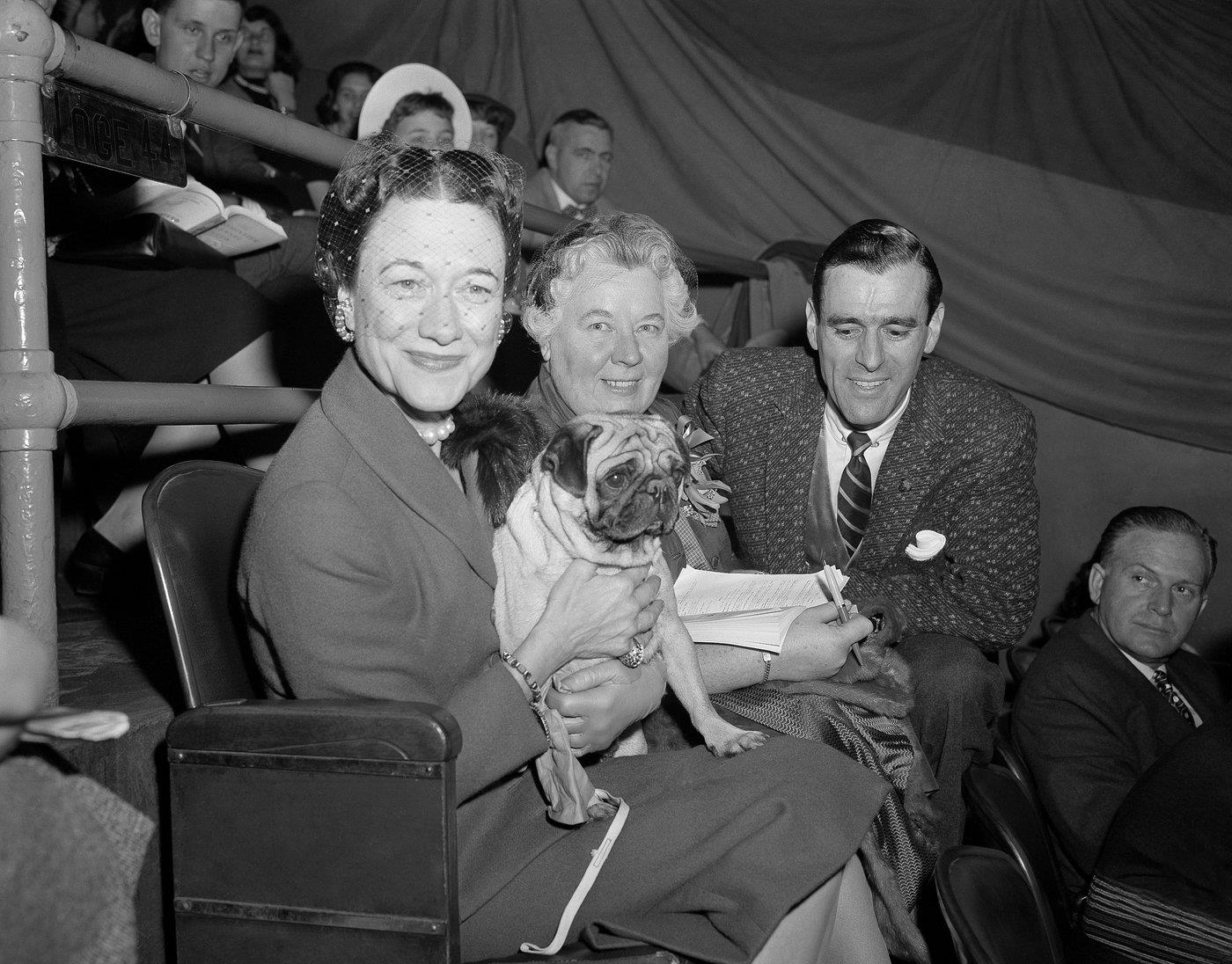The Westminster dog show is turning 150. Here's what has - and hasn't ...