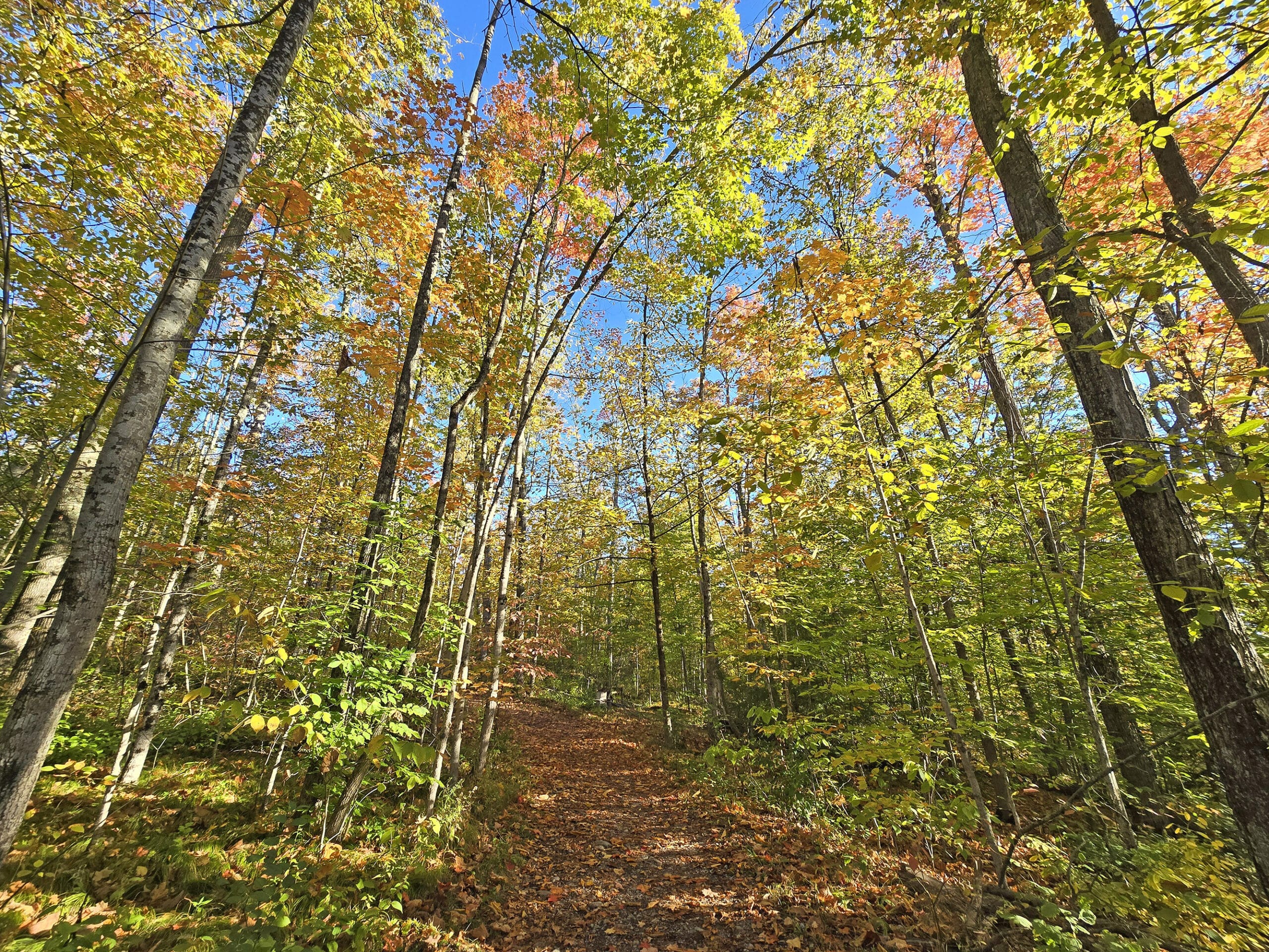 Mark S Burnham Provincial Park