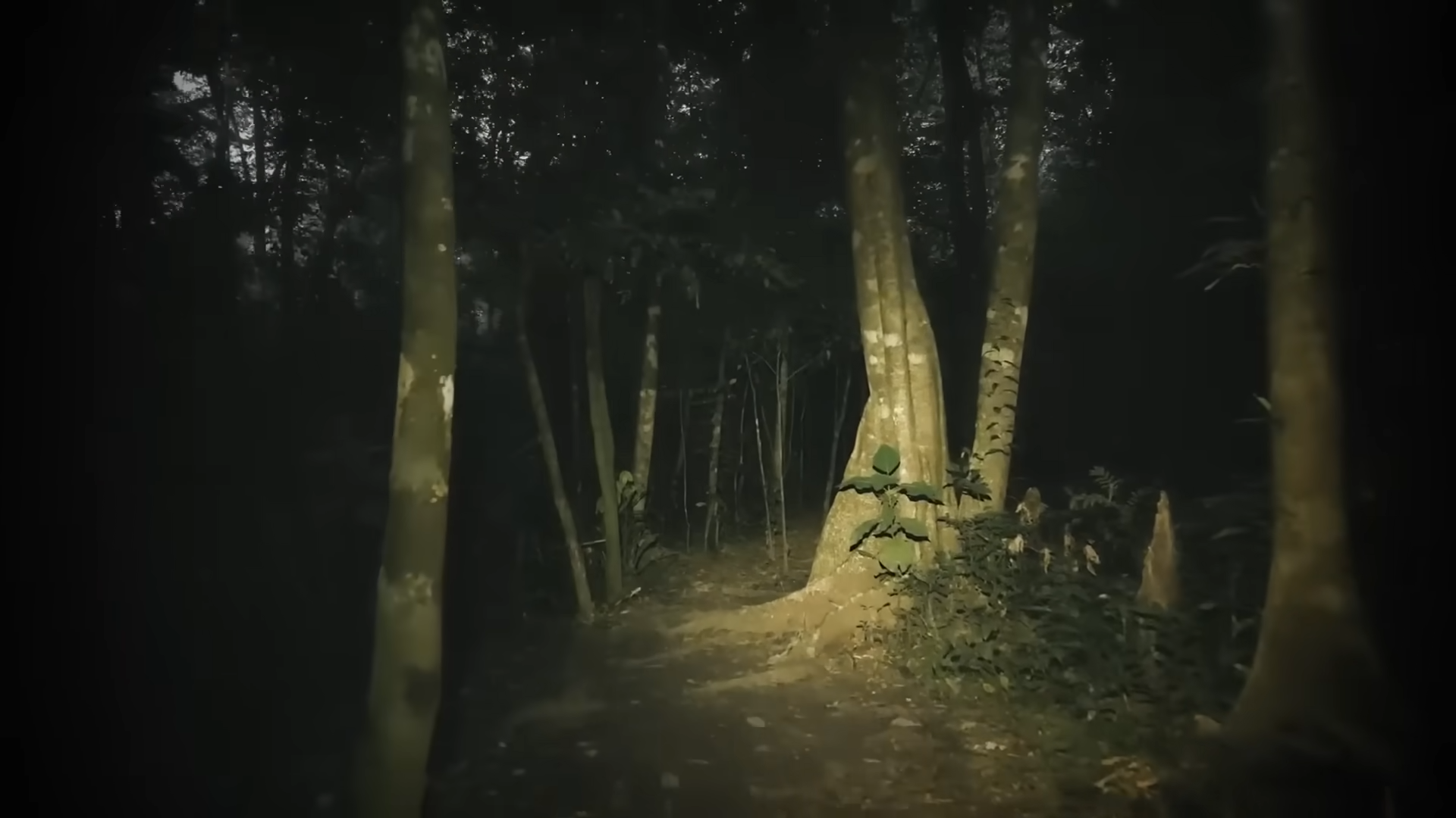 Why witnesses across America keep seeing the same dark entity