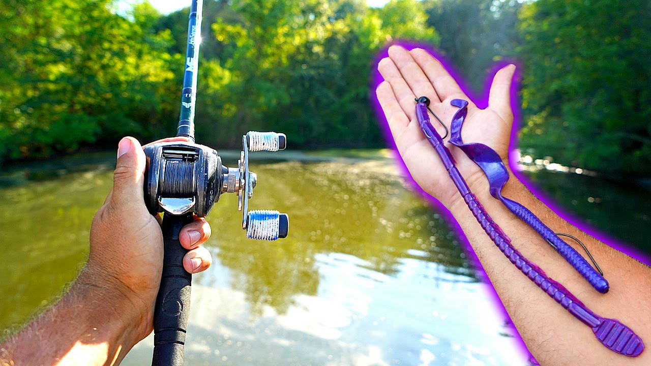Fishing monster worms produces giant summer bass catches