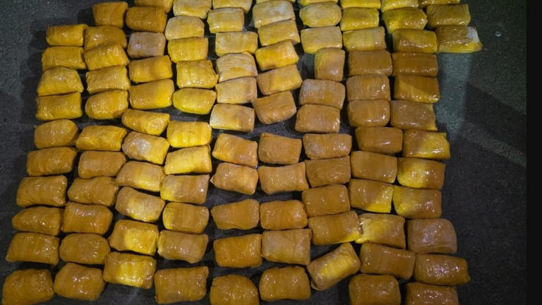 Punjab Police seize 51.5 kg heroin, bust Pak-linked narco network