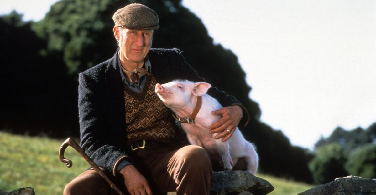 Movie animals who made the humans look like supporting cast