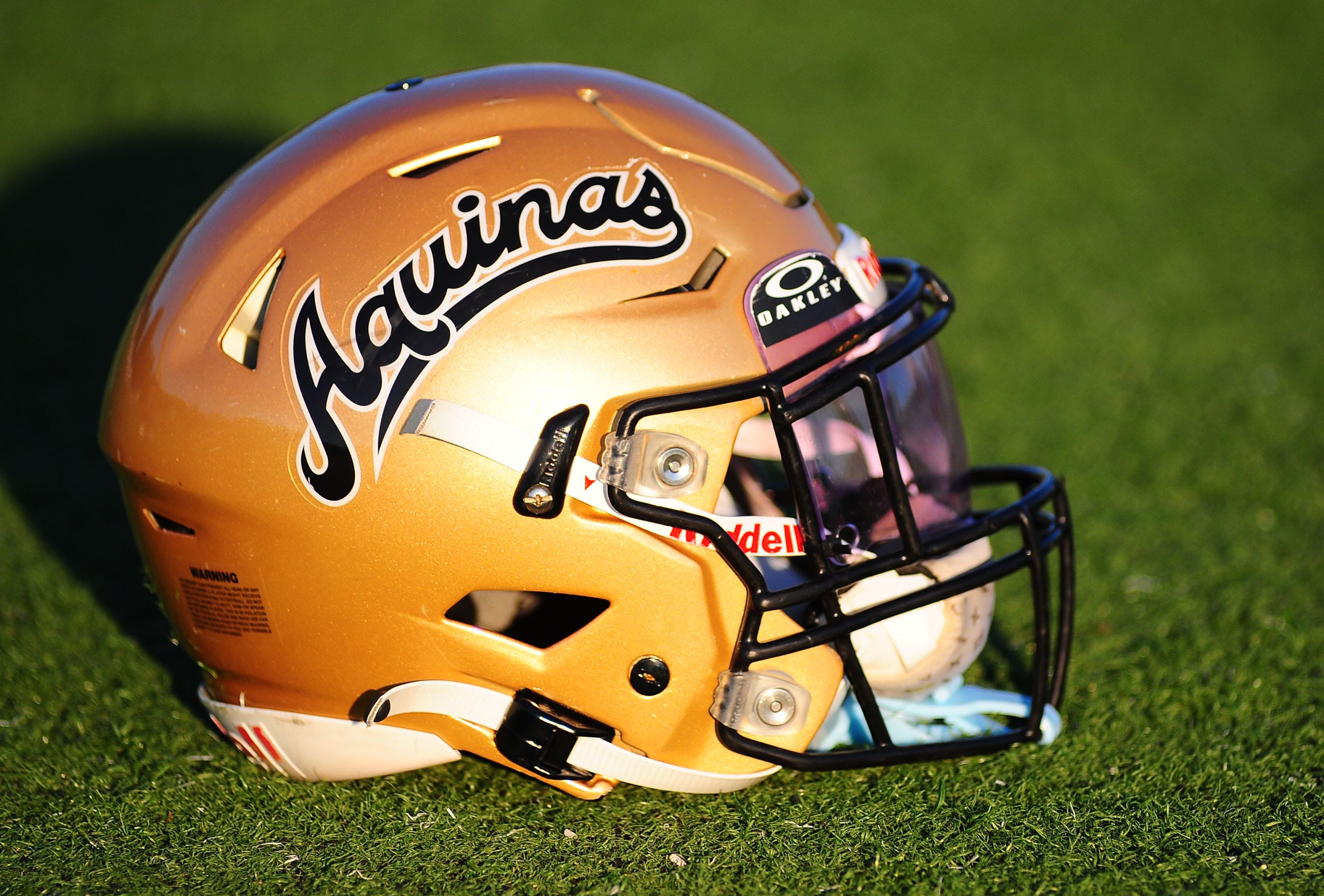 Isaiah Robinson hired as St. Thomas Aquinas High School football coach