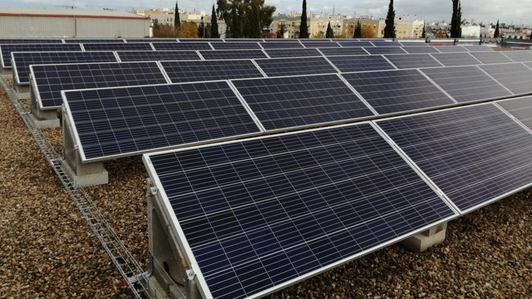 ¿Cómo resolver el rompecabezas de las 14 marcas de Stellantis?