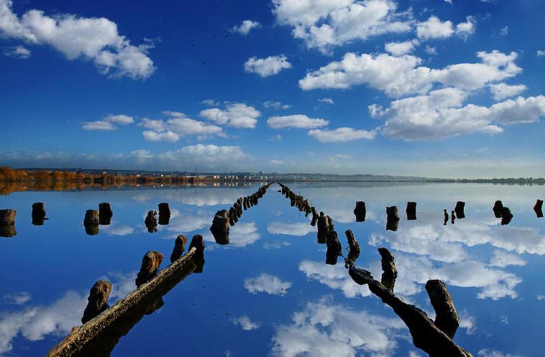 A Molentargius un biolago per fermare la diffusione della testuggine aliena