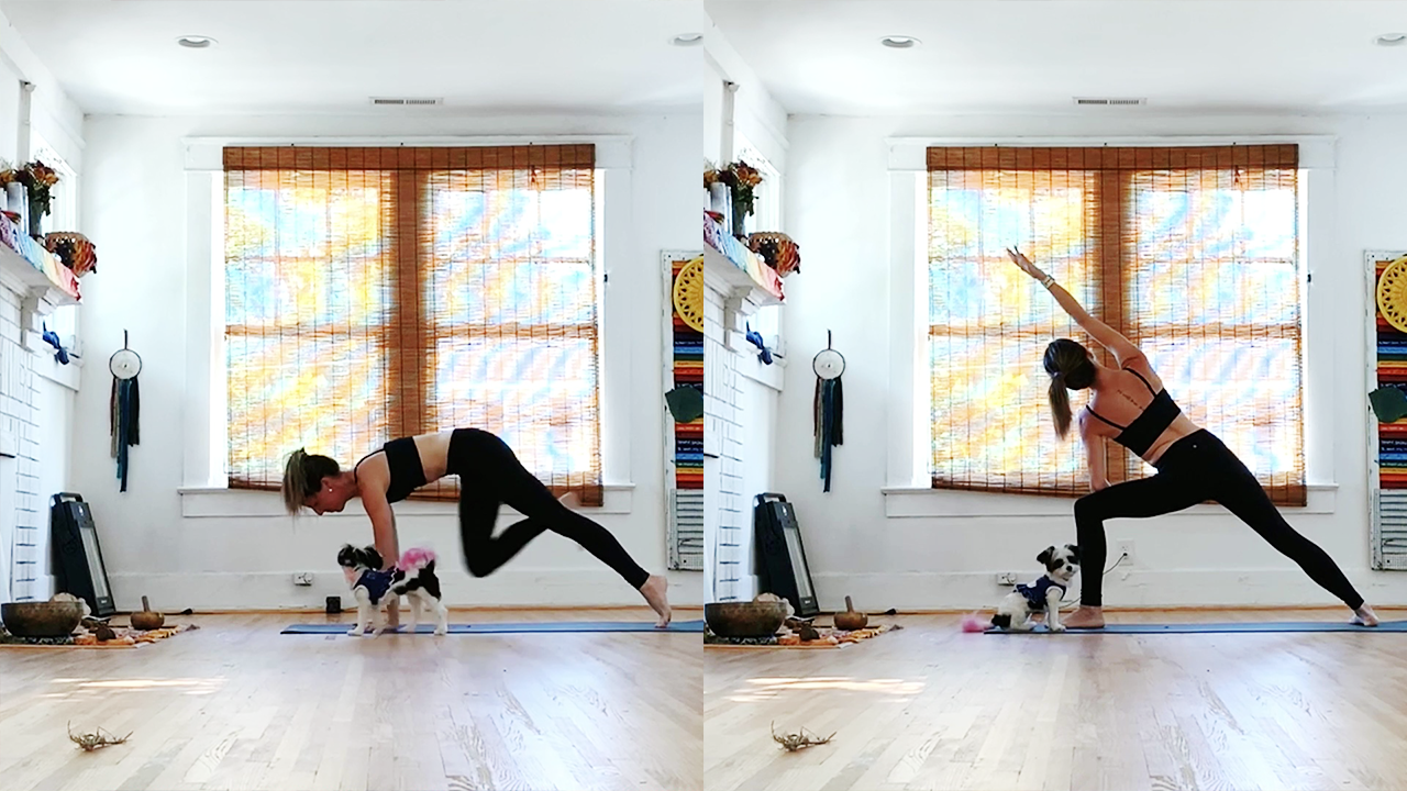Cuddly dog wants kisses from owner during her yoga session