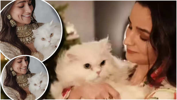 When Alia Bhatt shared the adorable pic of her 'cat of honour' from her ...