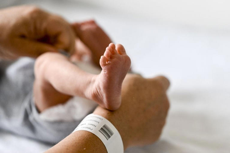 How do Trump accounts work? Here's what you should know