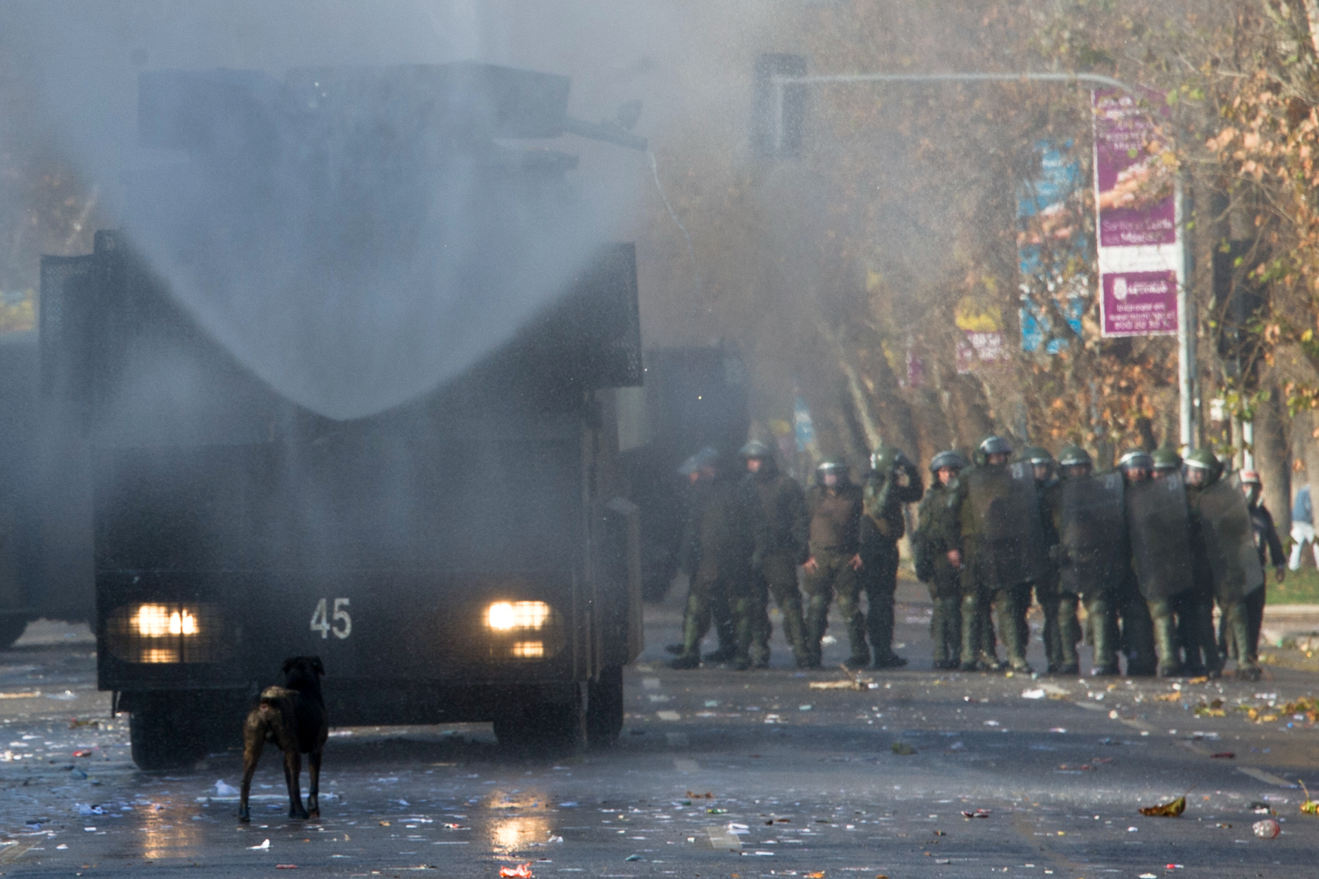 Riot dogs: furry legends of street protests