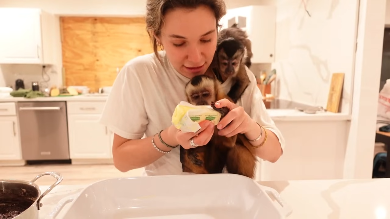 Can this baby monkey handle cooking class like a pro?