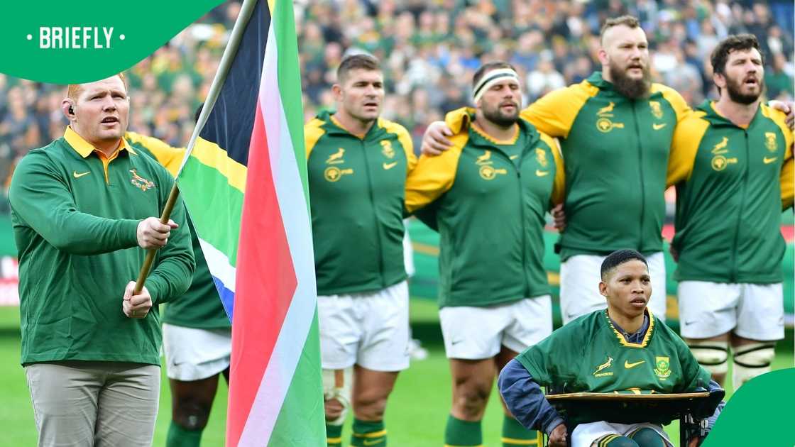 Springboks players forced to retire early after injuries and health ...