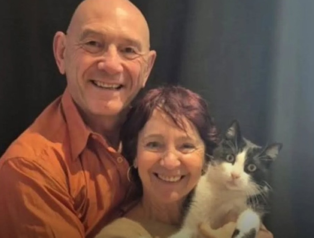 Lost on a Spanish road trip, this French cat walked 250km home to find ...