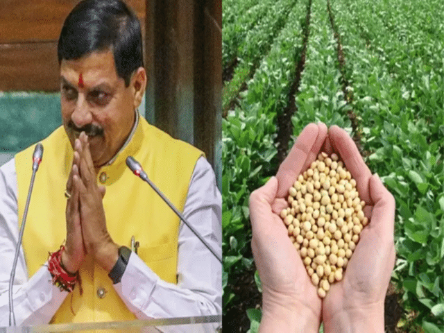 Bhavantar Yojana: ₹200 crore transferred to the accounts of 1.17 lakh ...