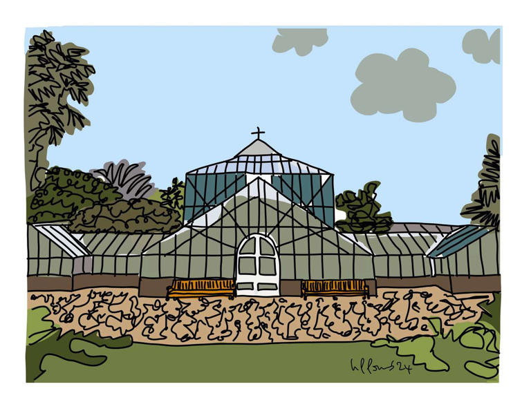 Stories of a city: An illustrated Cambridge year