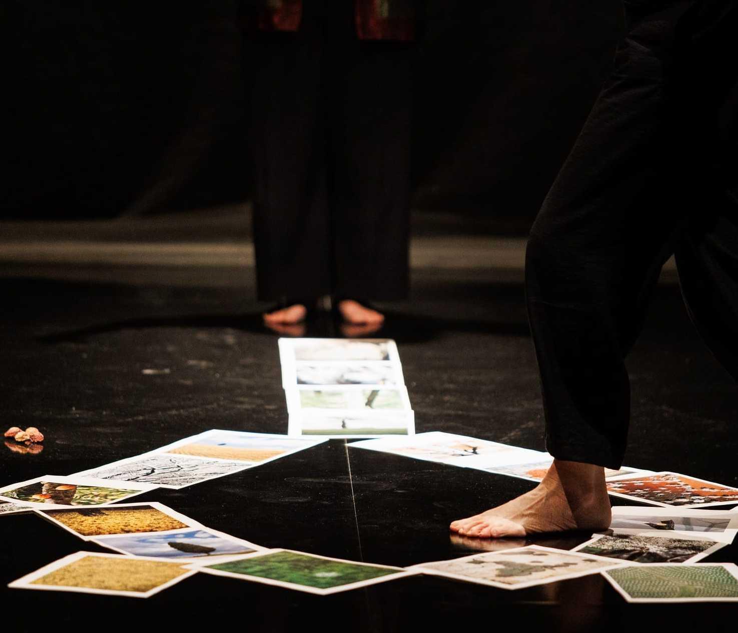 Piccoli impavidi sull’albero