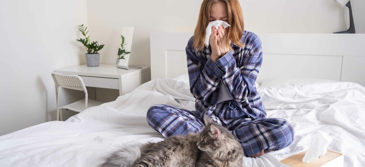 Gatti ipoallergenici: esistono veramente e le razze da considerare