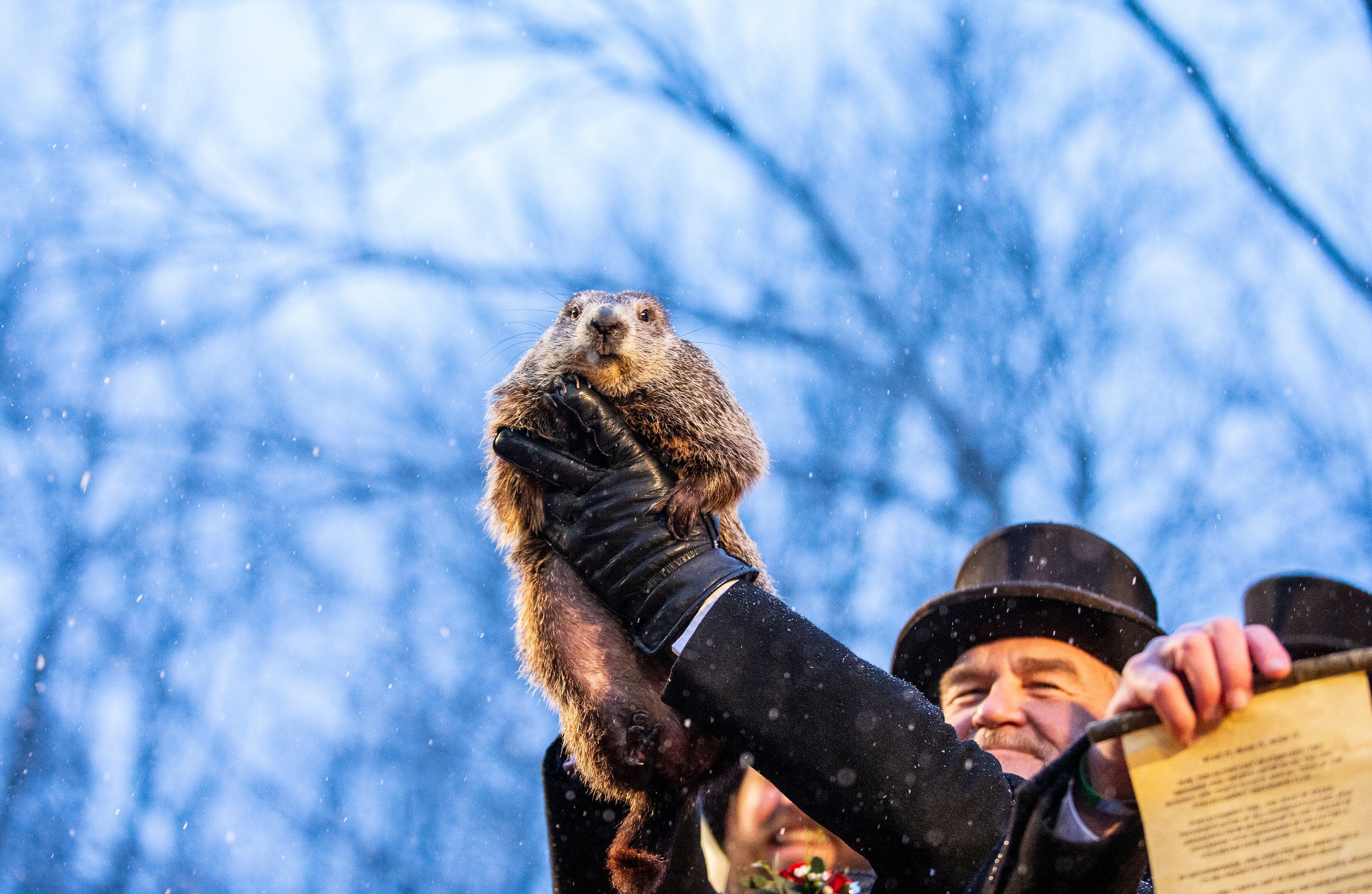 Groundhog Day trivia: Everything you need to know but were afraid to ask