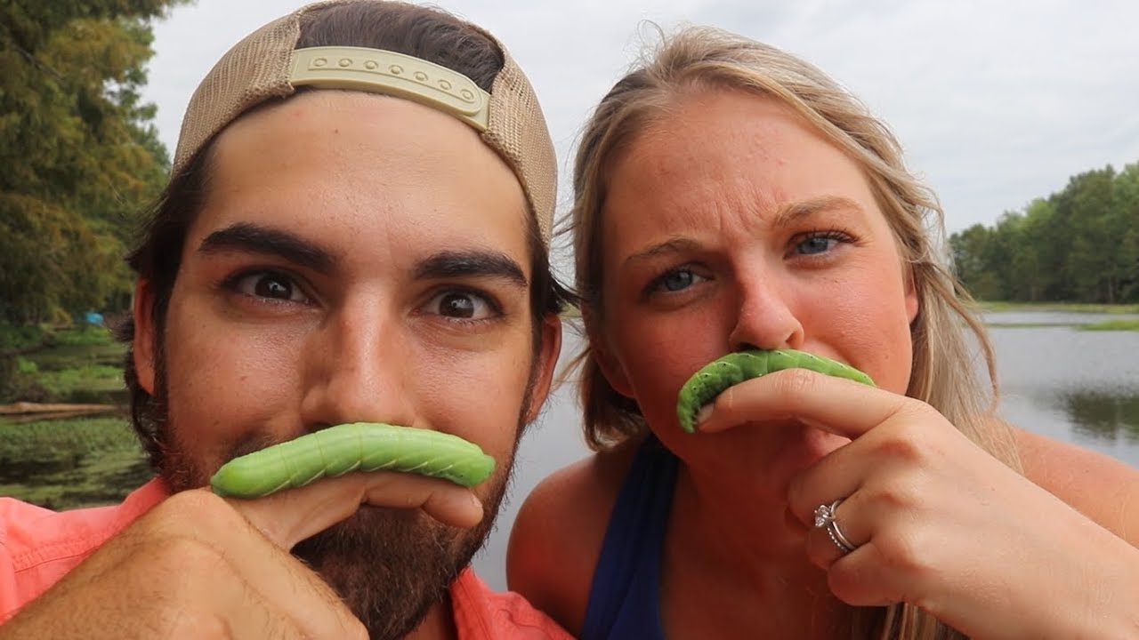 Giant caterpillars discovered during backyard exploration